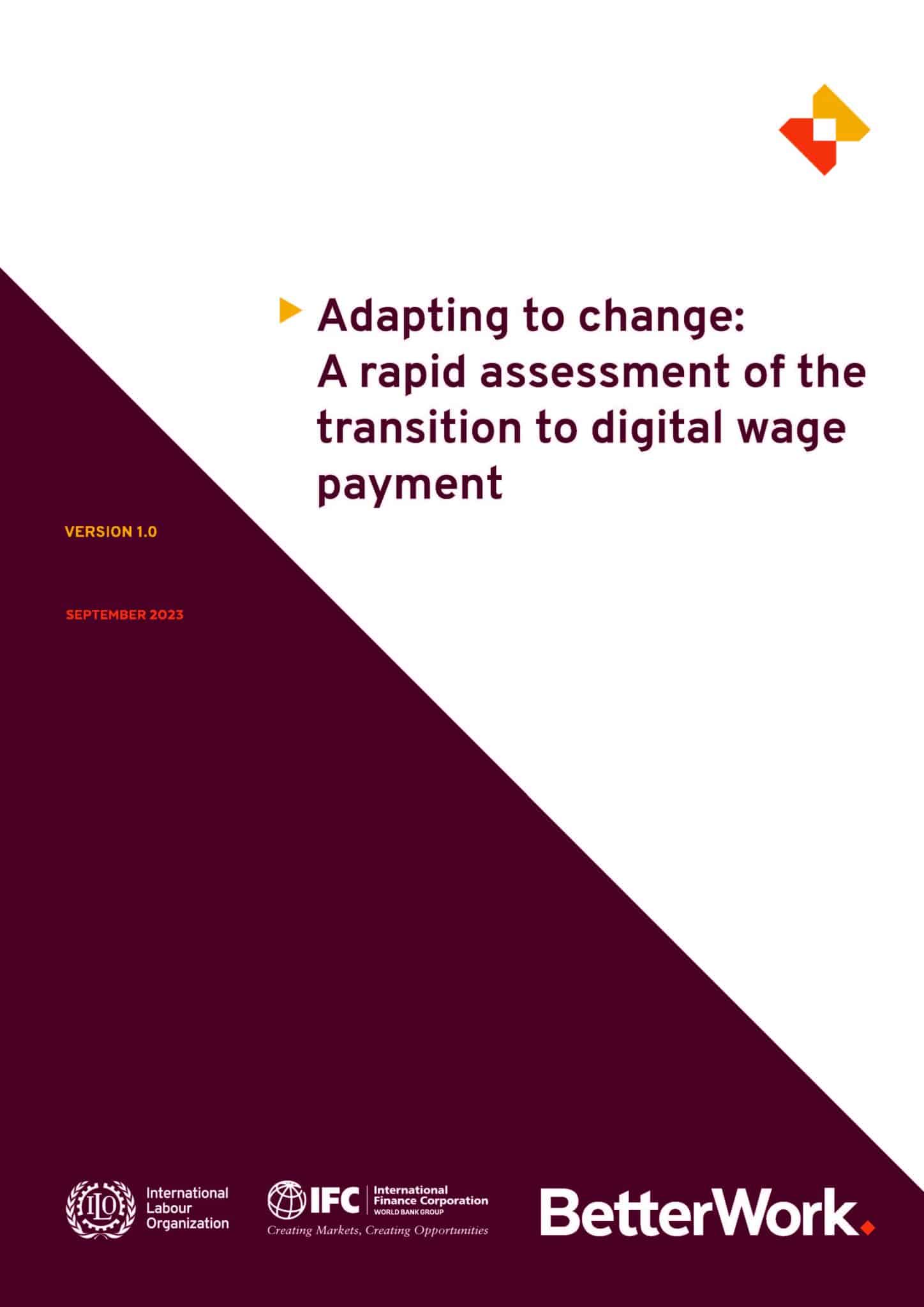 Adapting to change: A rapid assessment of the transition to digital ...